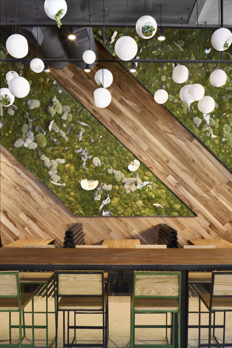 Shake Shack South Lamar